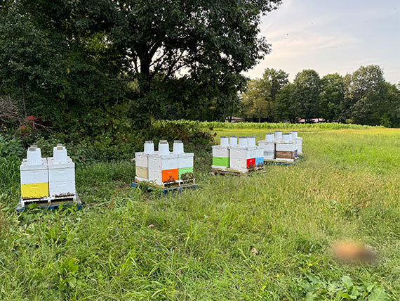 Crop Pollination - OHIO - Bee Hive Rental - Hartville Honey Bee Farm